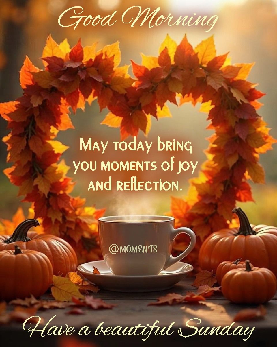 May Today Bring You Moments Of Joy And Reflections Pictures, Photos ...