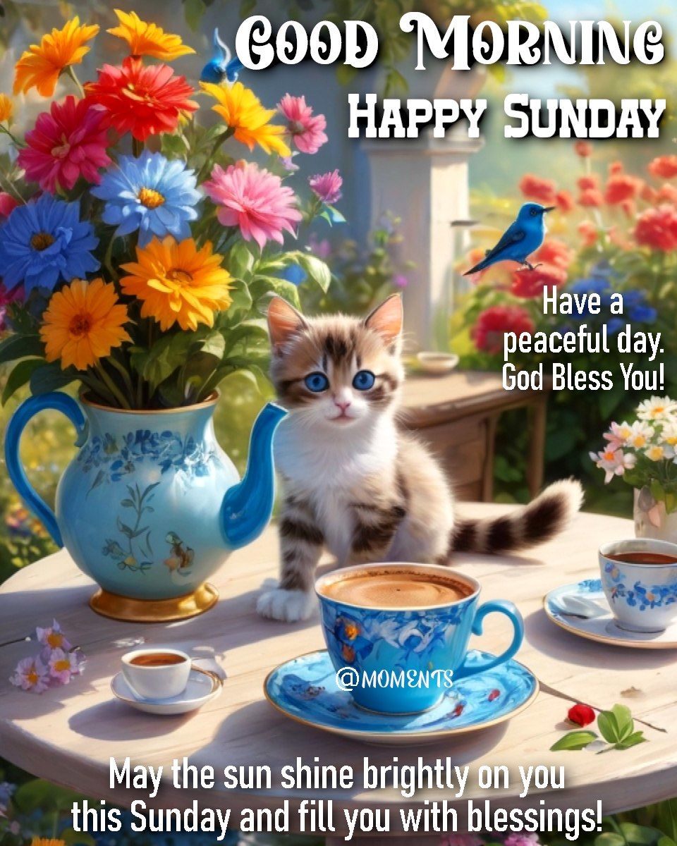 May The Sun Shine Brightly On You This Sunday And Fill You With ...