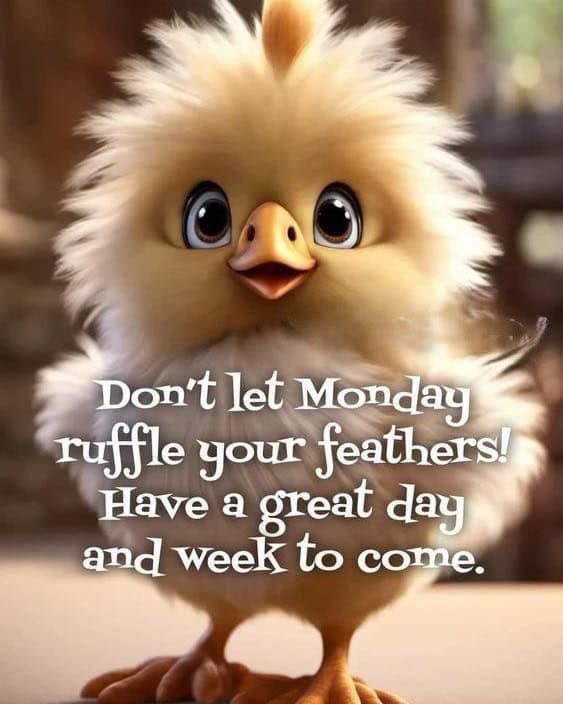 Don't Let Monday Ruffle Your Feathers! Have A Great Day And Week To ...