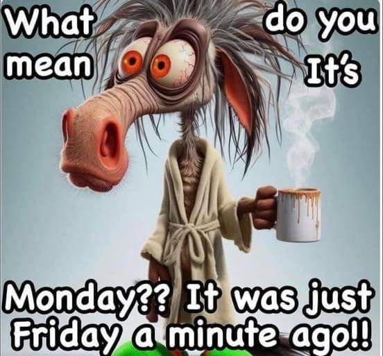 What Do You Mean It's Monday?? It Was Just Friday A Minute Ago ...