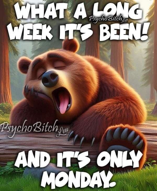 What A Long Week It's Been! And It's Only Monday Pictures, Photos, and ...