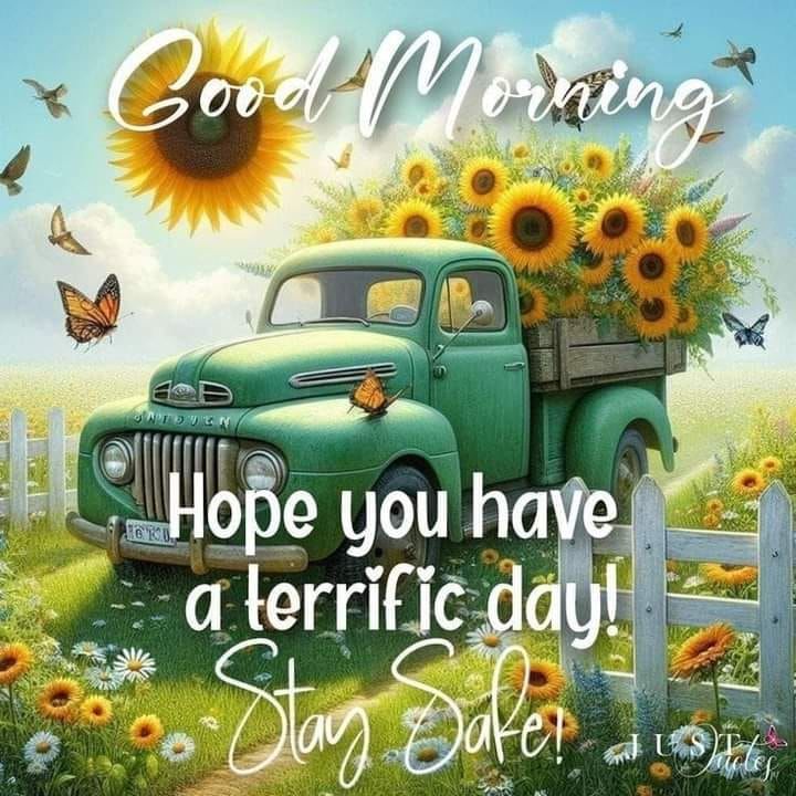 Good Morning, Hope You Have A Terrific Day! Pictures, Photos, and ...