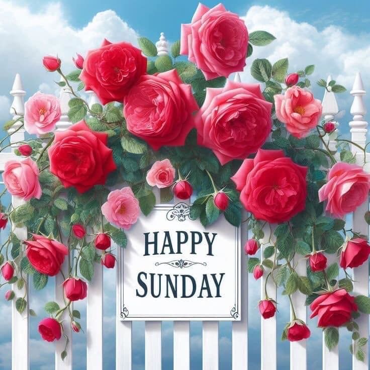 Happy Sunday Pictures, Photos, and Images for Facebook, Tumblr ...