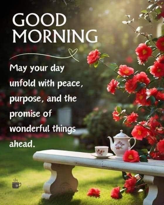 Good Morning. May Your Day Unfold With Peace, Purpose, And The Promise ...