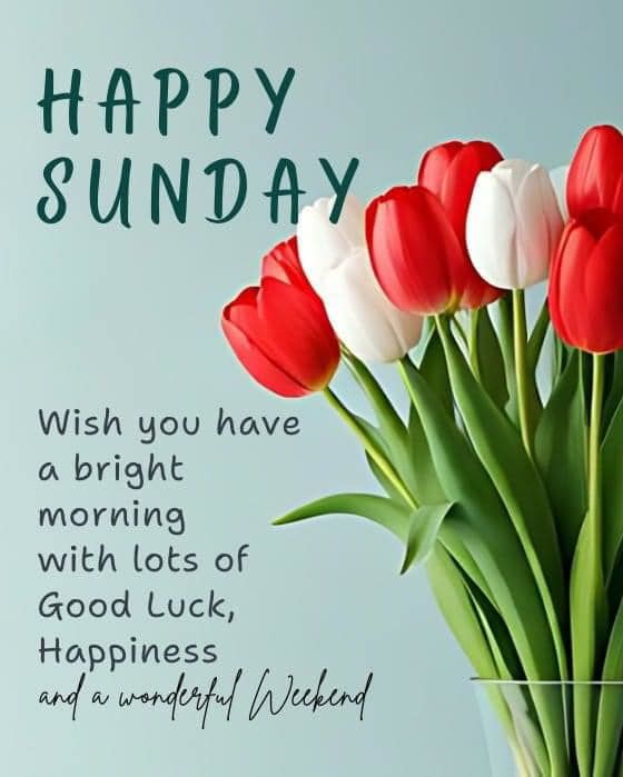 Happy Sunday: Wish You Have A Bright Morning With Lots Of Good Luck ...