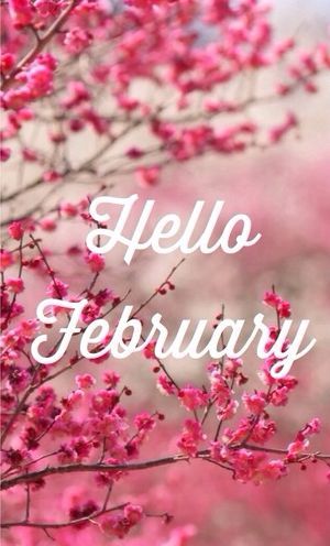 Floral Hello February Quote Pictures, Photos, and Images for Facebook ...
