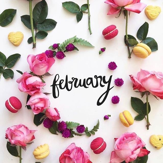 February Floral Greeting Pictures, Photos, and Images for Facebook ...