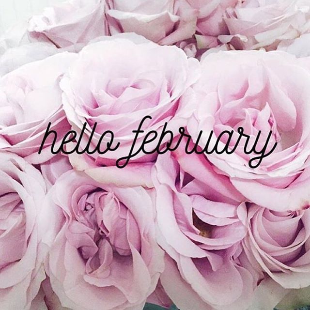 Hello February Greeting With Light Pink Roses Pictures, Photos, and ...