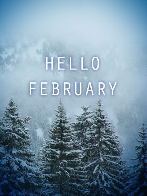Winter Tree Hello February Quote Pictures, Photos, and Images for ...