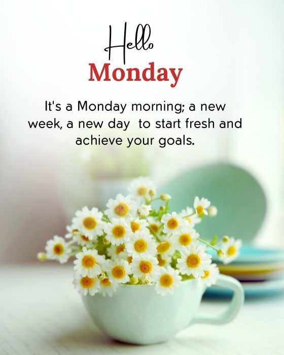 Hello Monday. It's A Monday Morning; A New Week, A New Day To Start ...