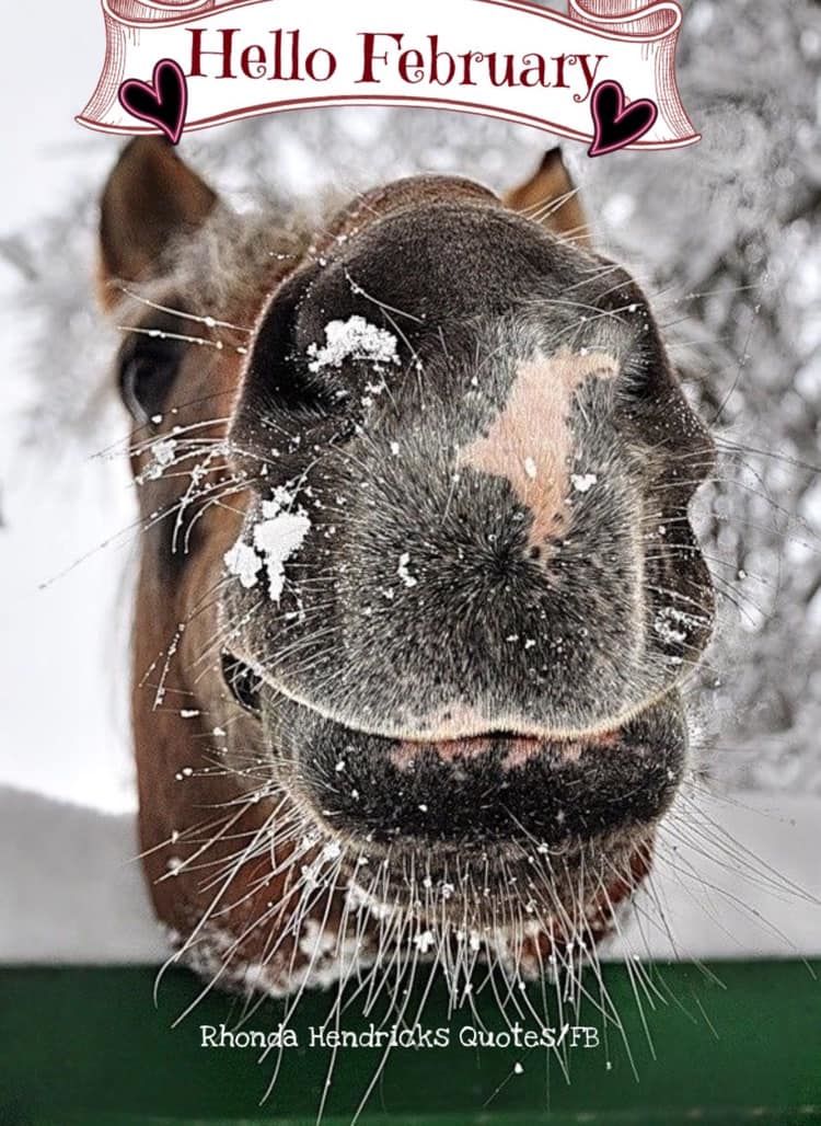 Hello February Pictures, Photos, and Images for Facebook, Tumblr ...
