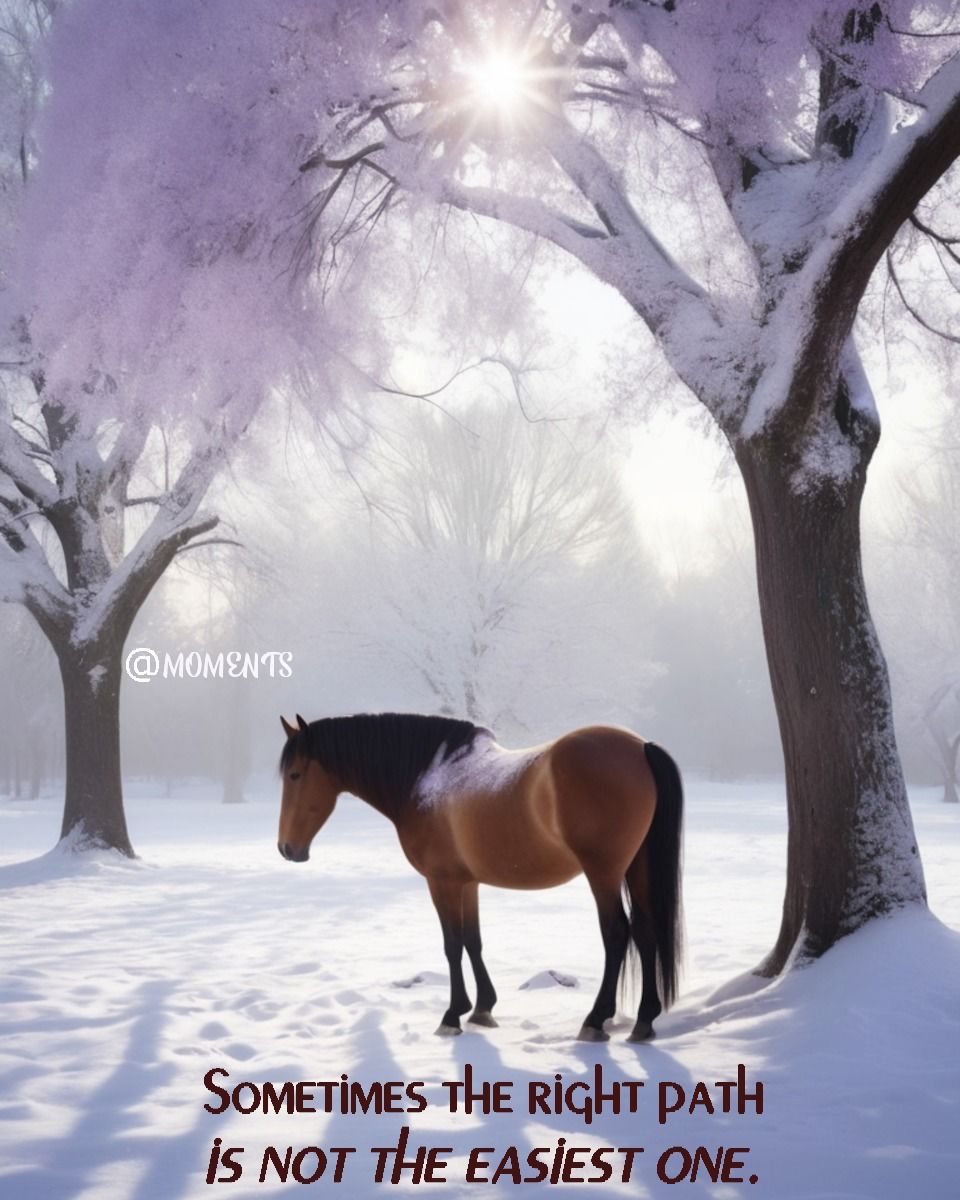 Sometimes The Right Path Is Not The Easiest One Pictures, Photos, and ...