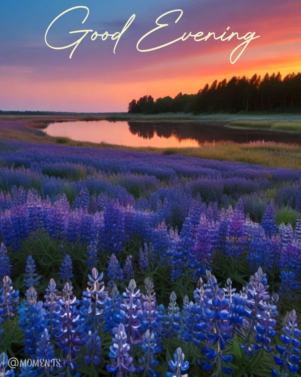 Good Evening Pictures, Photos, and Images for Facebook, Tumblr ...