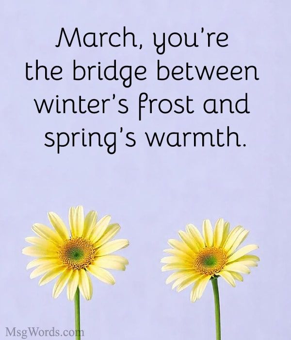 March, You're The Bridge Between Winter's Frost And Spring's Warmth ...
