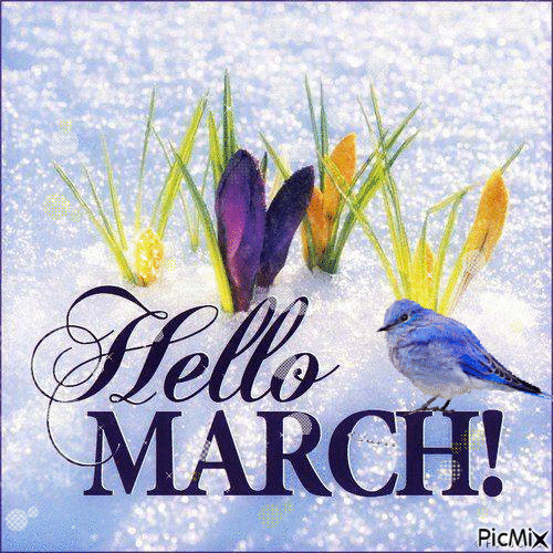 Hello March Gif With Flowers & Bird Pictures, Photos, and Images for ...