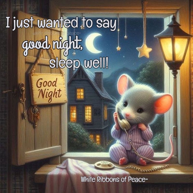 I Just Wanted To Say Good Night, Sleep Well! Pictures, Photos, and ...