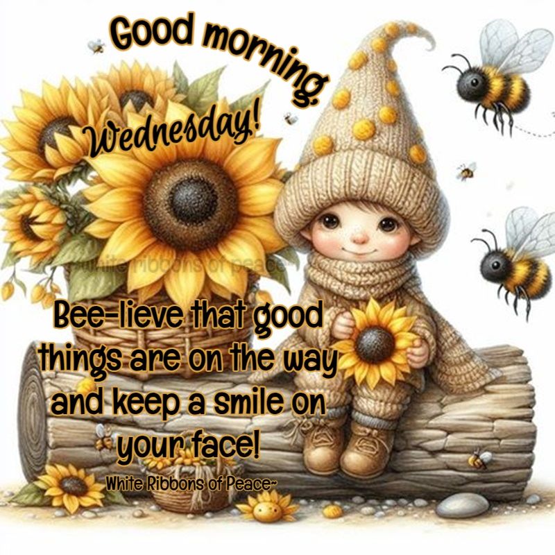 Good Morning, Wednesday! Bee-lieve That Good Things Are On The Way And ...
