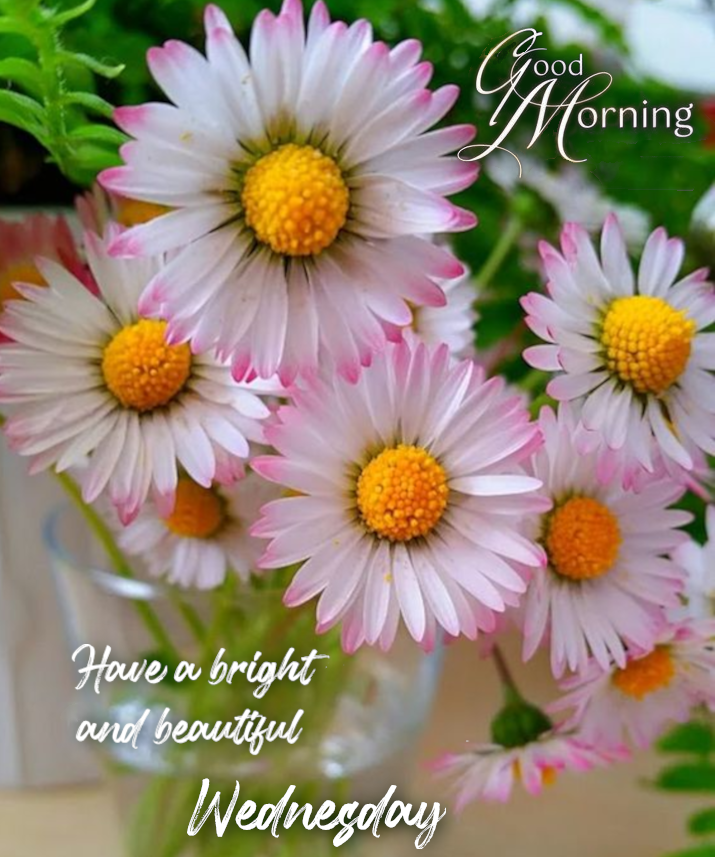 Have A Bright And Beautiful Wednesday. Good Morning Pictures, Photos ...