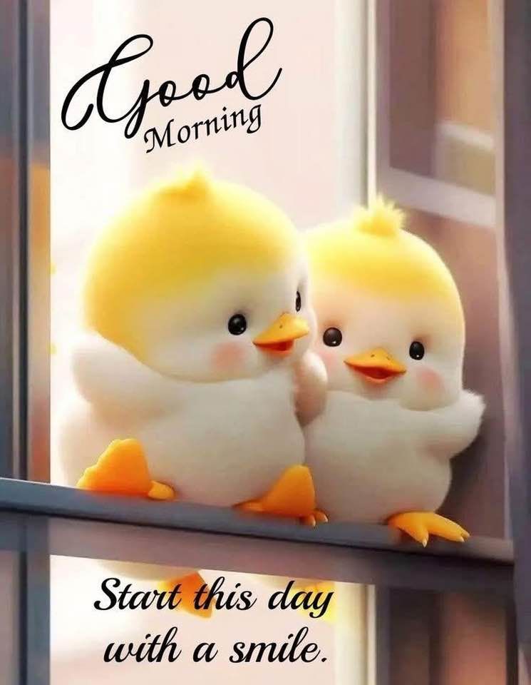 Good Morning, Start This Day With A Smile Pictures, Photos, and Images ...