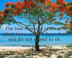 True Meaning Of Life Pictures, Photos, and Images for Facebook, Tumblr ...