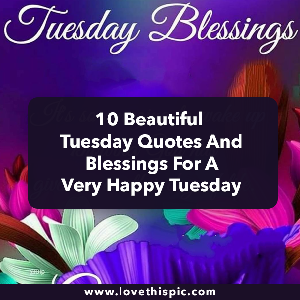 10 Beautiful Tuesday Quotes And Blessings For A Very Happy Tuesday
