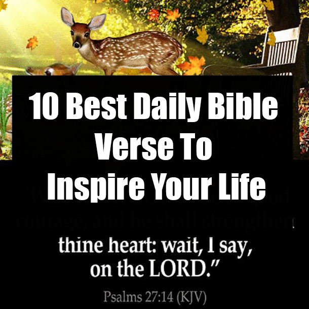 10 Best Daily Bible Verses To Inspire Your Life