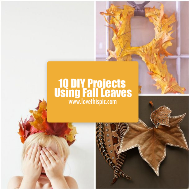 10 DIY Projects Using Fall Leaves