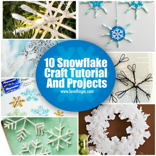 10 Snowflake Craft Tutorial And Projects
