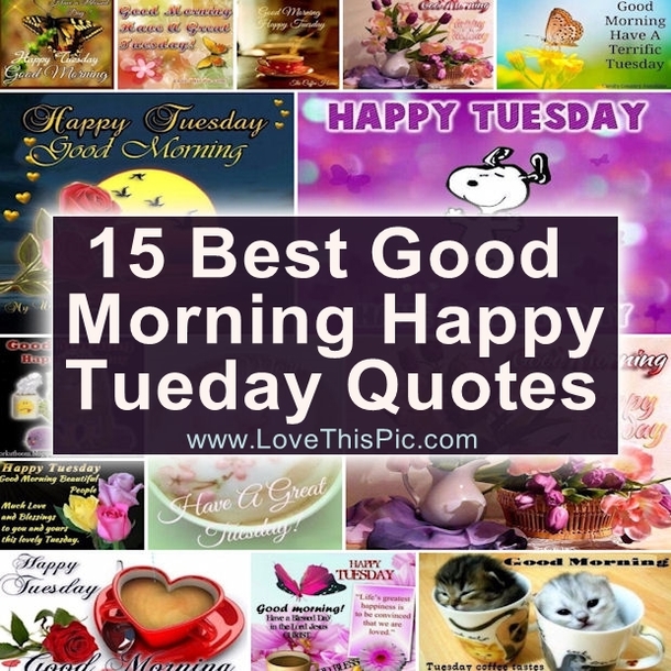 15 Best Good Morning Happy Tuesday Quotes