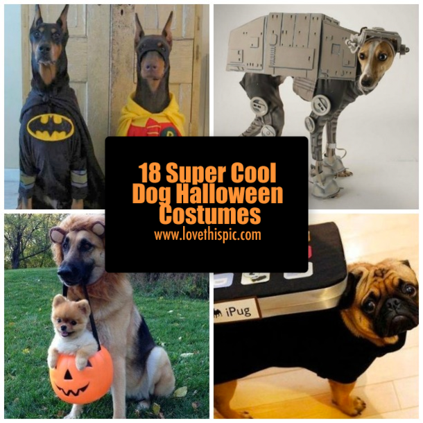 18 Super Cool Dog Halloween Costumes