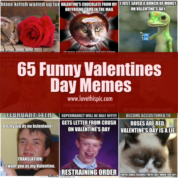 65 Funny Valentines Day Memes