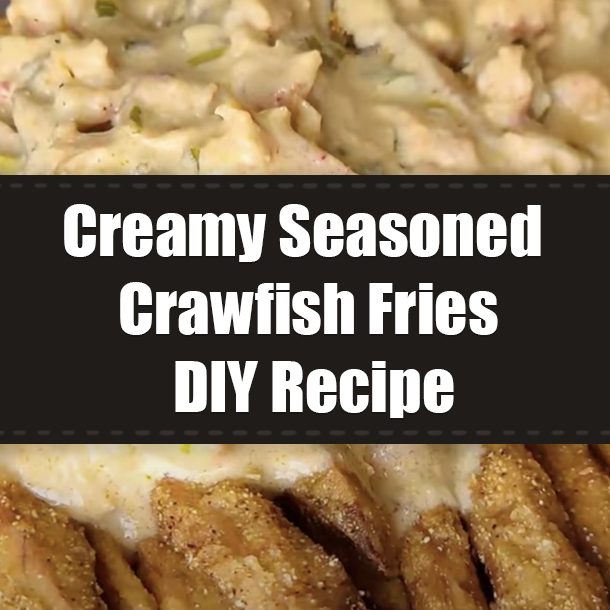 Creamy Seasoned Crawfish Fries DIY Recipe