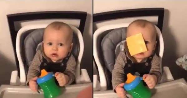 People Are Tossing Slices Of Cheese At Babies In A New Social Media ...