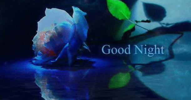 10 Animated Good Night Greetings & Wishes