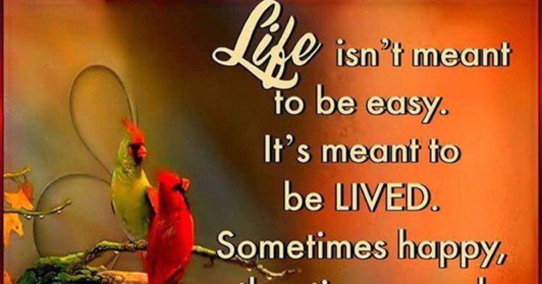 10 Wise And Beautiful Quotes