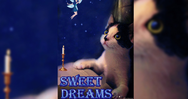 10 Magical Good Night Animated Quotes