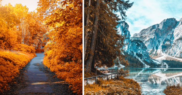 10 Stunning Fall Photography Images To Get You Excited For Autumn