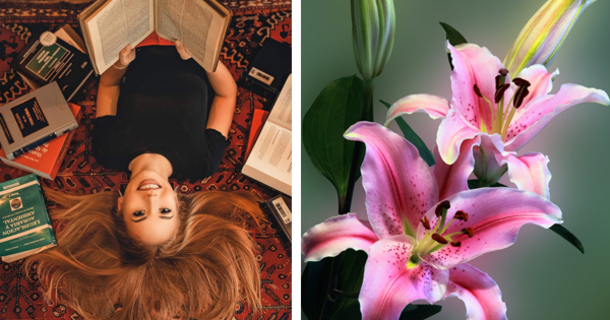 Top 10 Perfect Beautiful Photography Images For The Day