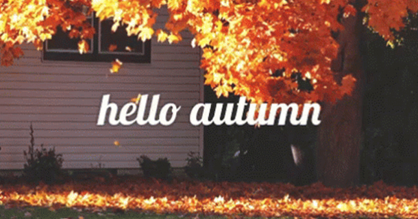 Hello Fall & Welcome Fall Animated Quotes