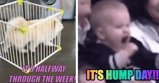 Funny & Silly Wednesday Gifs To Get You Through The Day
