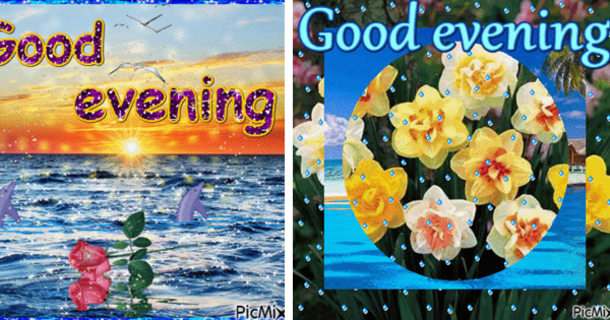 10 Lovely Good Evening Quotes Of The Night