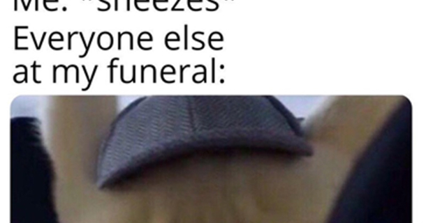 10 Memes To Bring Fun To Your Day