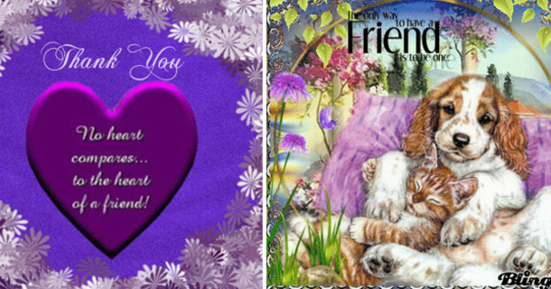 10 Best Friend Quotes, Sayings & Gifs