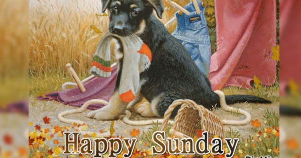 10 Best Animated Happy Sunday Quotes