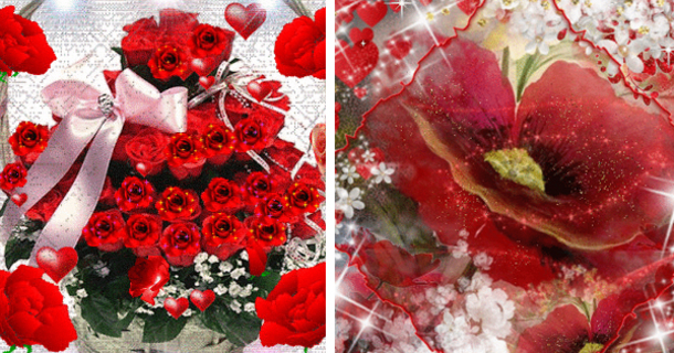 10 Beautiful Animated Flower Images