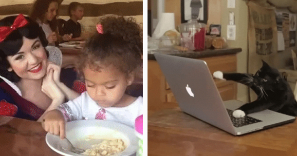 10 Randomly Cute And Very Funny Gifs That'll Make Your Day