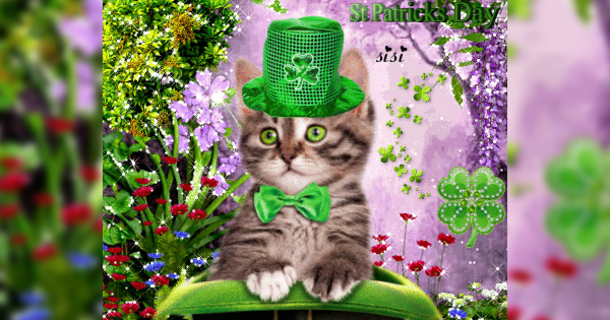 10 Fun St Patrick's Day Quotes And Gifs