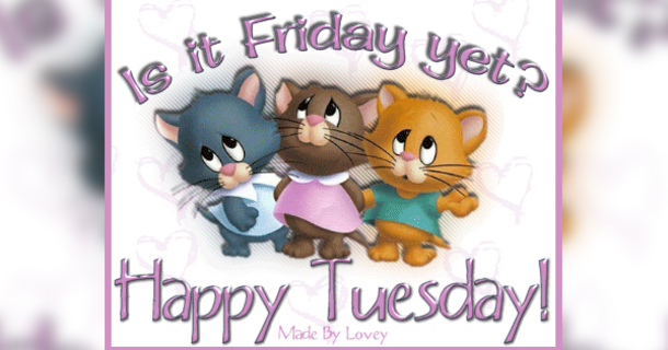 10 Fun Happy Tuesday Quotes, Sayings And Gifs
