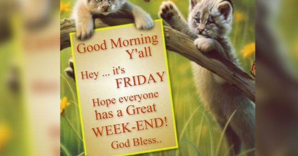 10 Fantastic Good Morning Friday Quotes