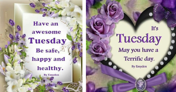 10 Really Great Tuesday Quotes & Sayings